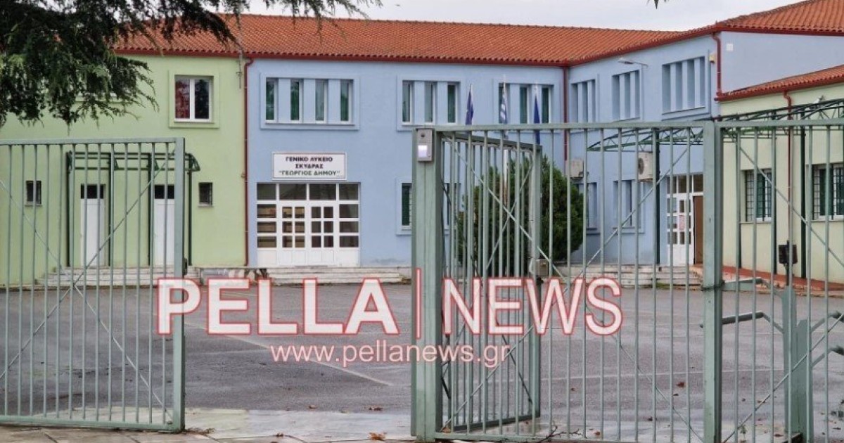 Λειτουργία Επιτροπής Διεπιστημονικής Υποστήριξης στο Γενικό Λύκειο Σκύδρας