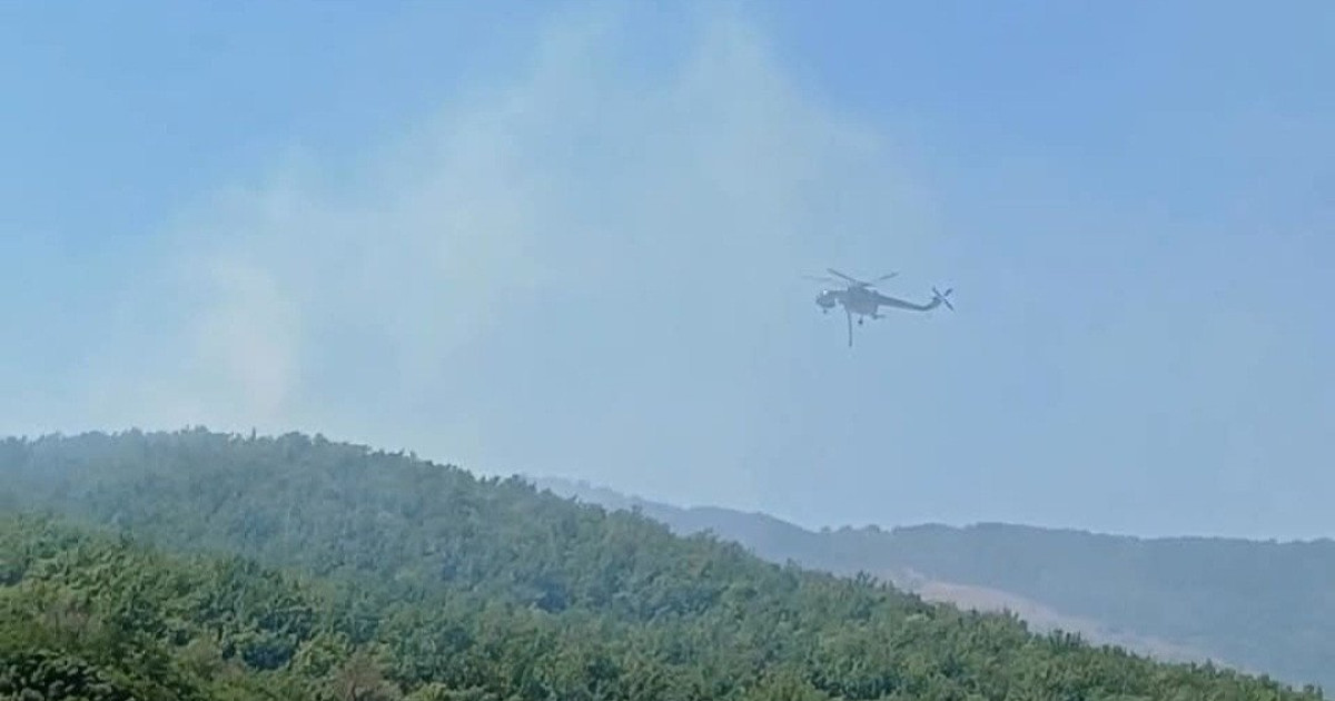 Επιτυχής κατάσβεση πυρκαγιάς στη Νέα Ζωή Πέλλας – Καθοριστική η συμβολή ...