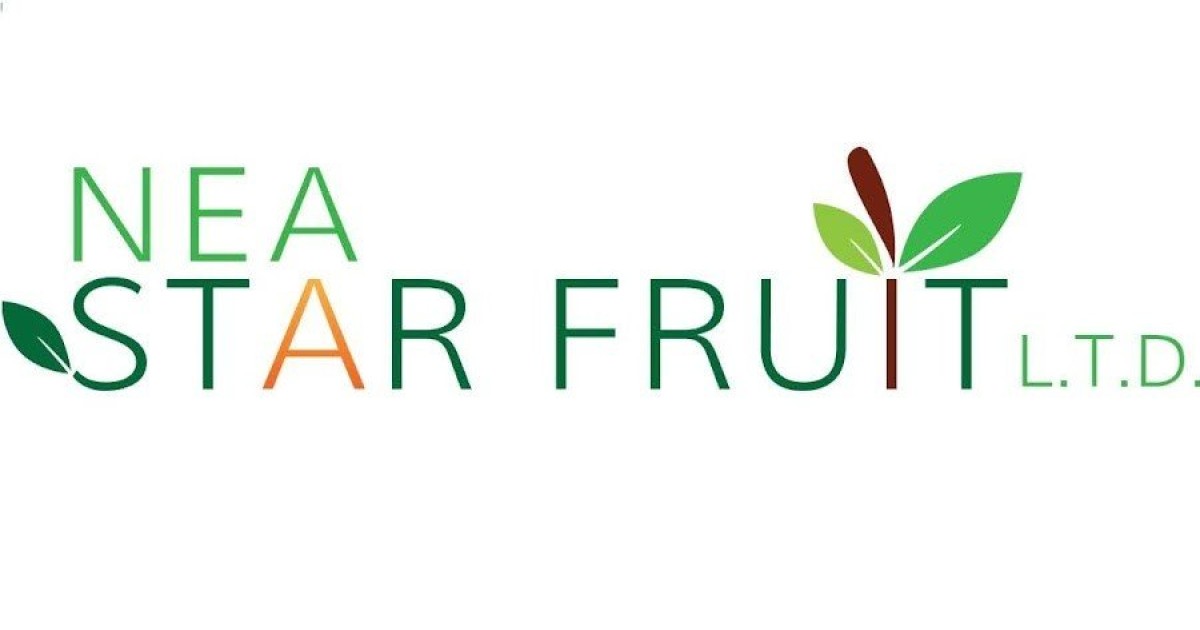 Η εταιρεία NEA STAR FRUIT ΕΠΕ αναζητά: