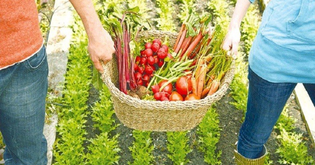 ΥπΑΑΤ: Πάνω από 60.000 παραγωγοί θα ωφεληθούν από το πρόγραμμα ...
