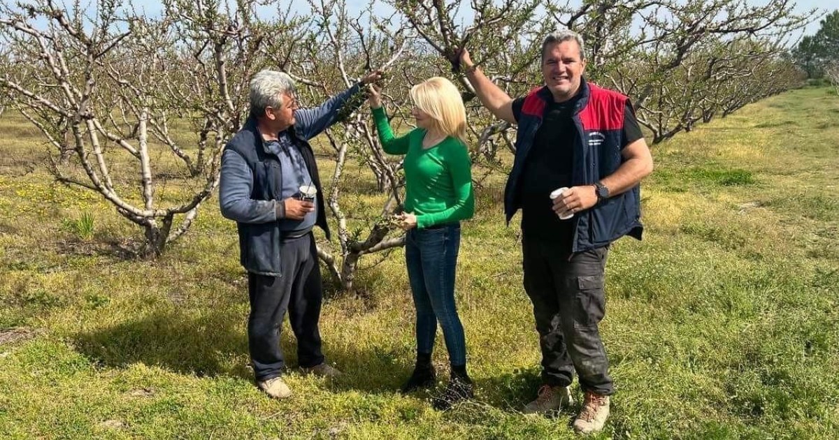 Τζάκρη : «Επισκέφτηκε τις περιοχές που έχουν πληγεί απο τον παγετό της ...