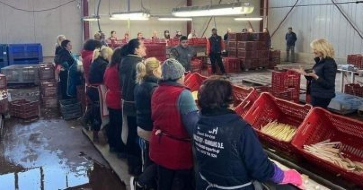 Θ. Τζάκρη: Ακόμη μια καλλιέργεια, η σπαραγγοκαλλιέργεια έχει αφεθεί ...