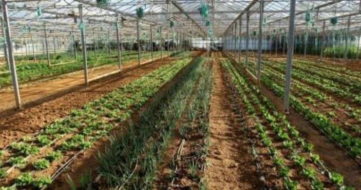 Από σήμερα και έως τις 28 Ιουλίου ενστάσεις για βιολογική γεωργία ...