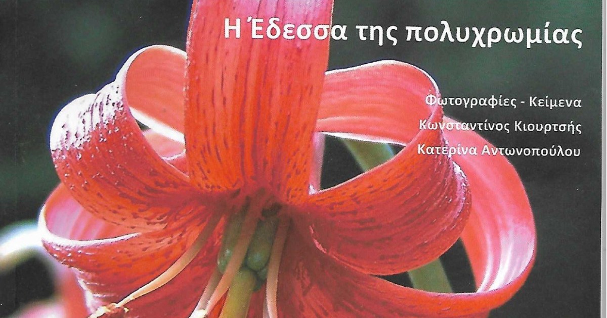 Το νέο βιβλίο του Φ.Σ.Ε. «Μέγας Αλέξανδρος» και της ΔΗ.ΚΕ.ΔΕ.-Η Έδεσσα ...