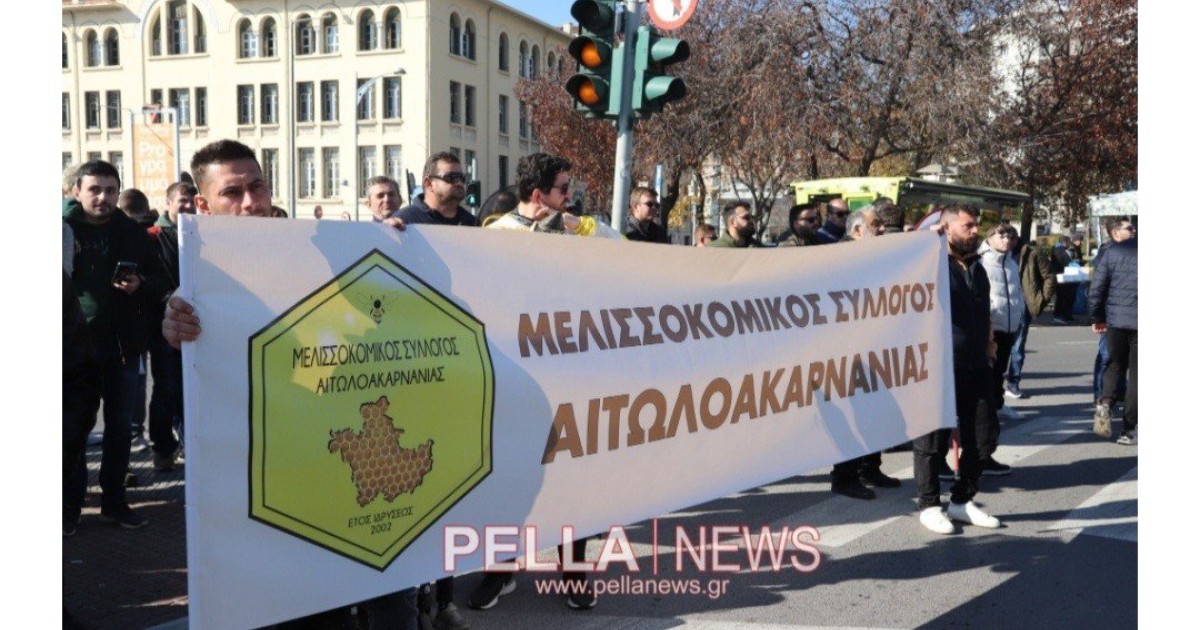 Μελισσοκόμοι: Διεκδικούμε την επιβίωση μας