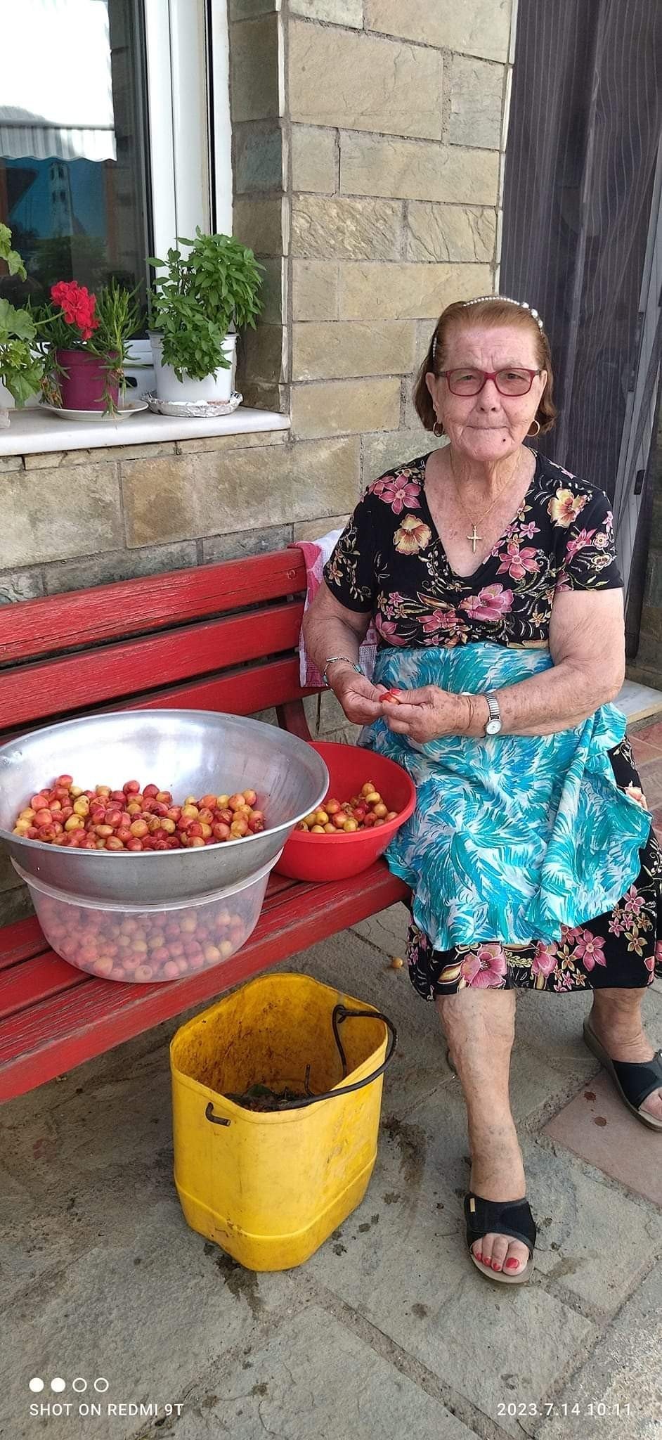 Γλυκό κεράσι από την Κυρα Στέλλα