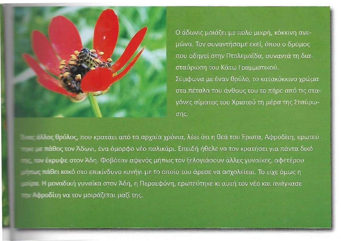 Το νέο βιβλίο του Φ.Σ.Ε. «Μέγας Αλέξανδρος» και της ΔΗ.ΚΕ.ΔΕ.-Η Έδεσσα ...