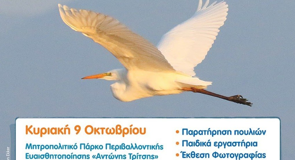 Κυριακή, 9 Οκτωβρίου: Γιορτή των Πουλιών στο Πάρκο “Α. Τρίτσης”
